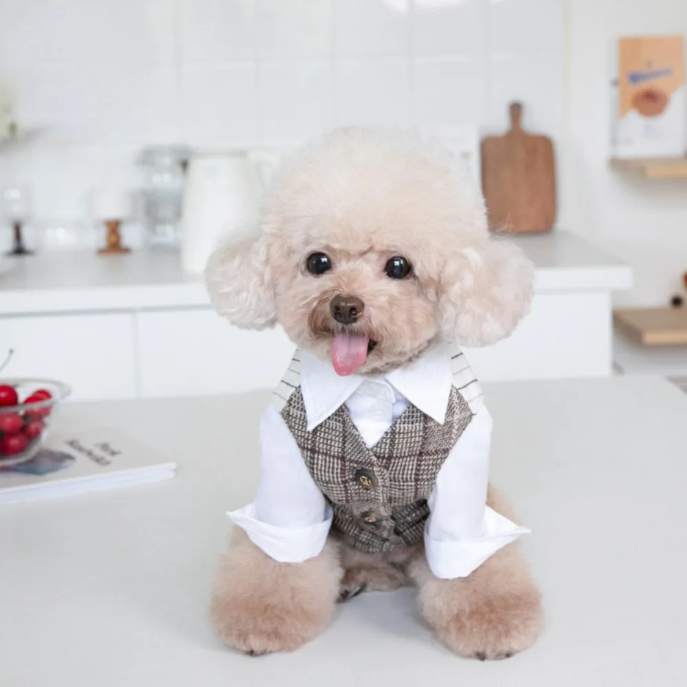 Autumn-Winter-Pet-Suit-Vest-Coat-Dog-White-Shirt-Pet-Wedding-Clothes ...