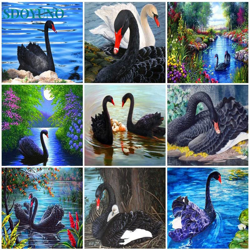 Black Swan Animal Drawing