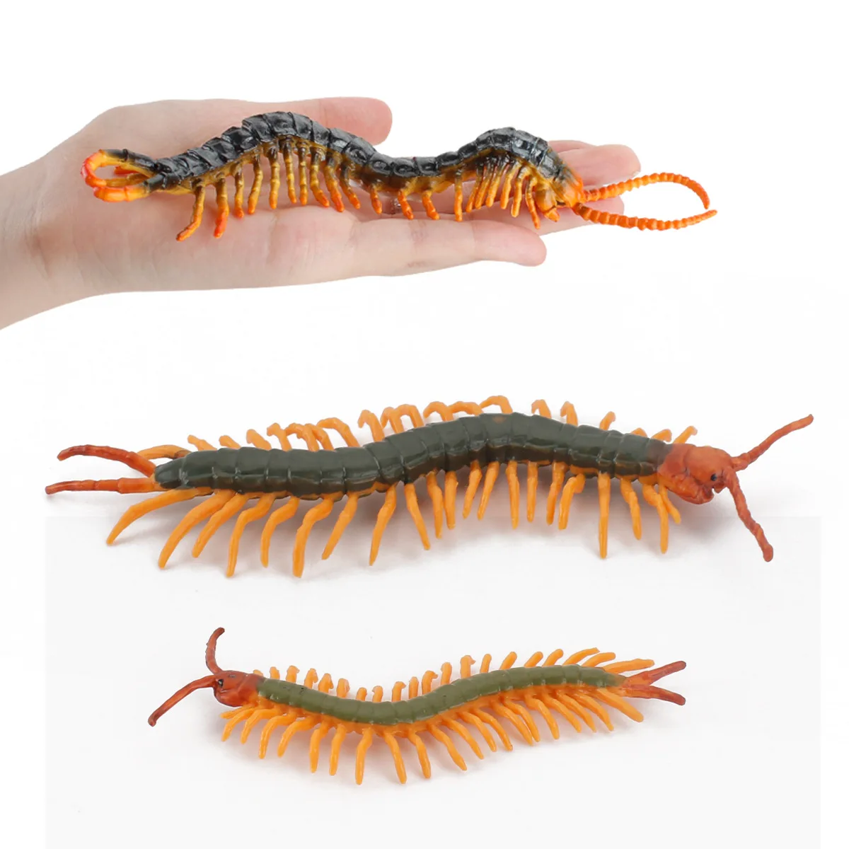 Lipan Raksasa