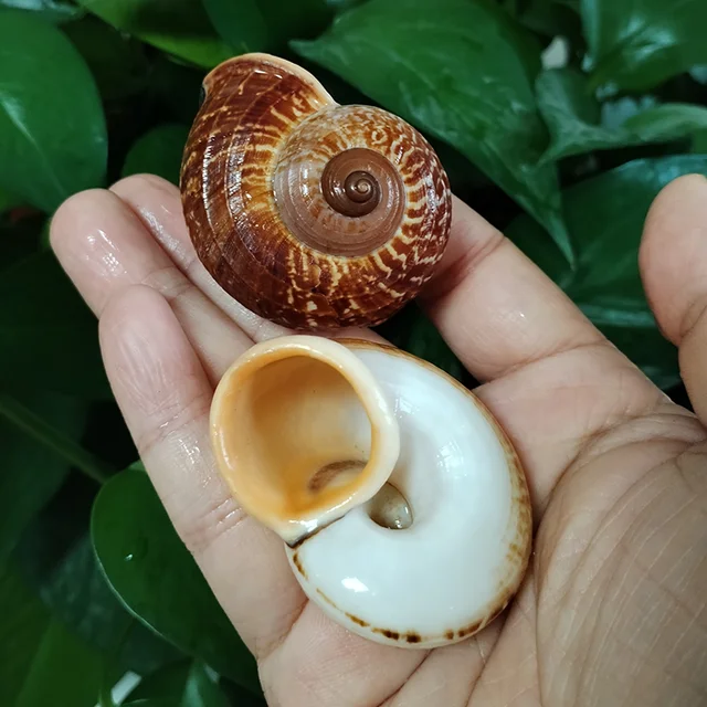 Store Home Products Getaway Deals Feedback