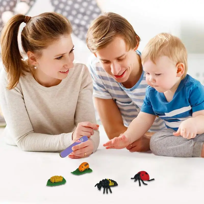 Life Cycle Learning And Education Toys Montessori Life Cycle Animal ...