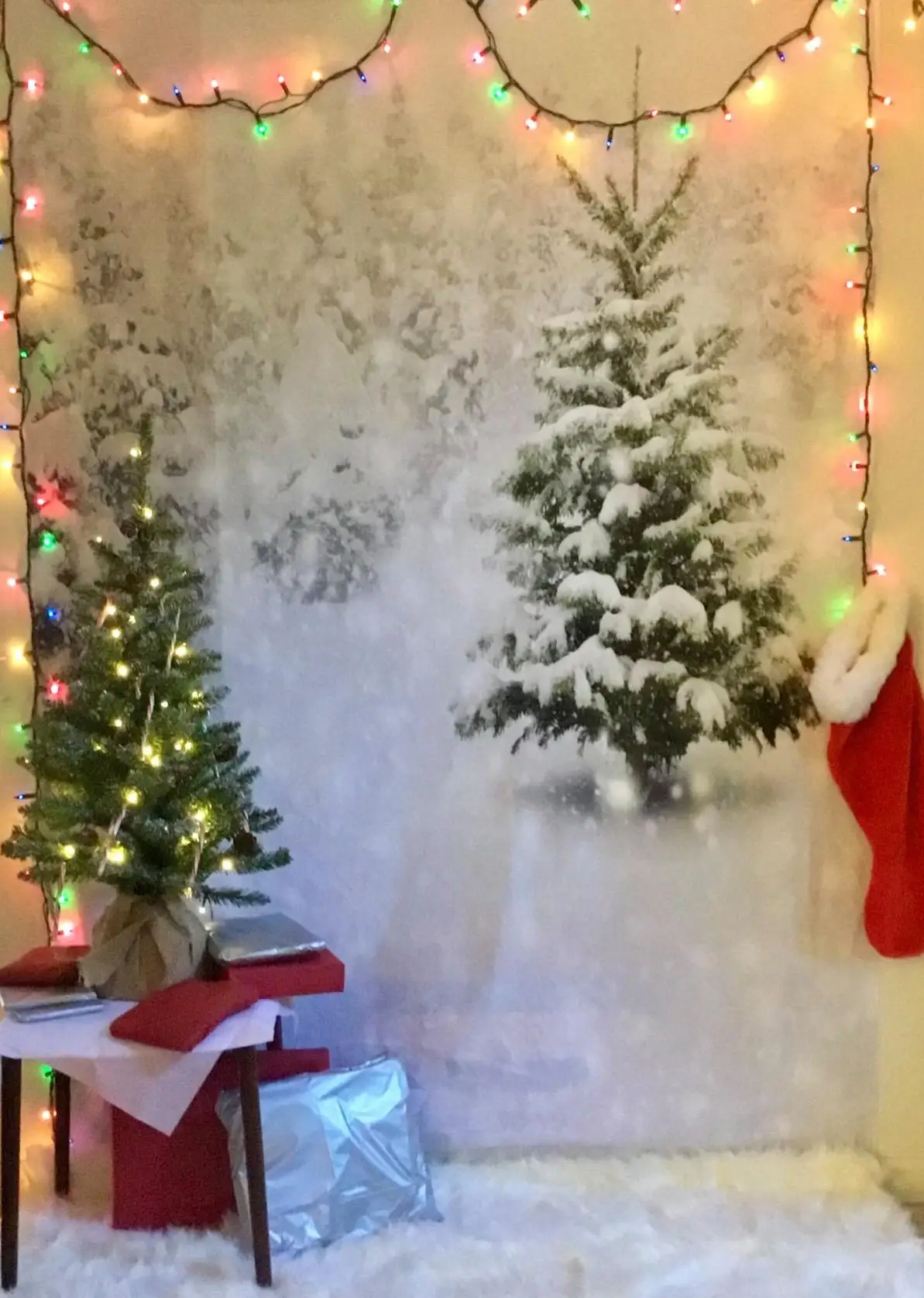 Diy Christmas Lights Backdrop