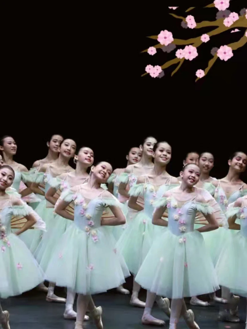 Romantic Tutu Giselle Ballet Costumes Girls Child Velet Tulle Skating ...