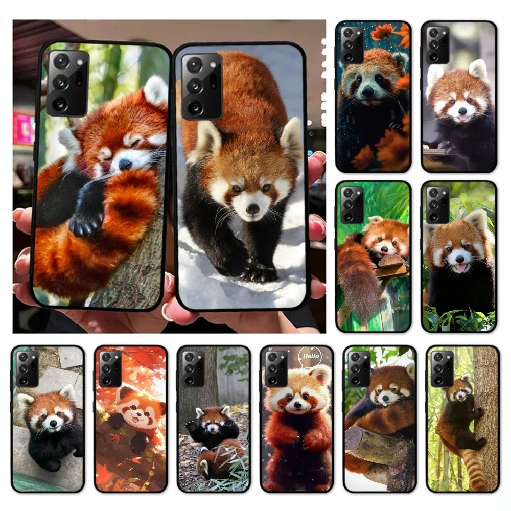 cute-red-panda-animal-Phone-Case-For-Samsung-Note-8-9-10-20-pro-plus ...