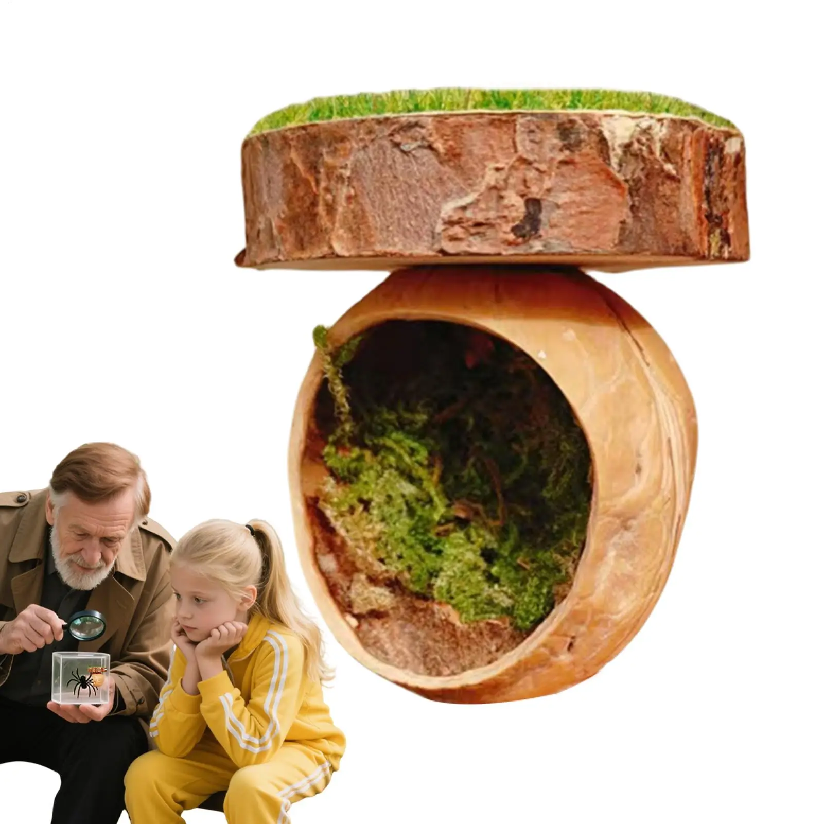 Jumping Spider Hide Tarantula Enclosure Spider Hide Magnetic Jumping ...
