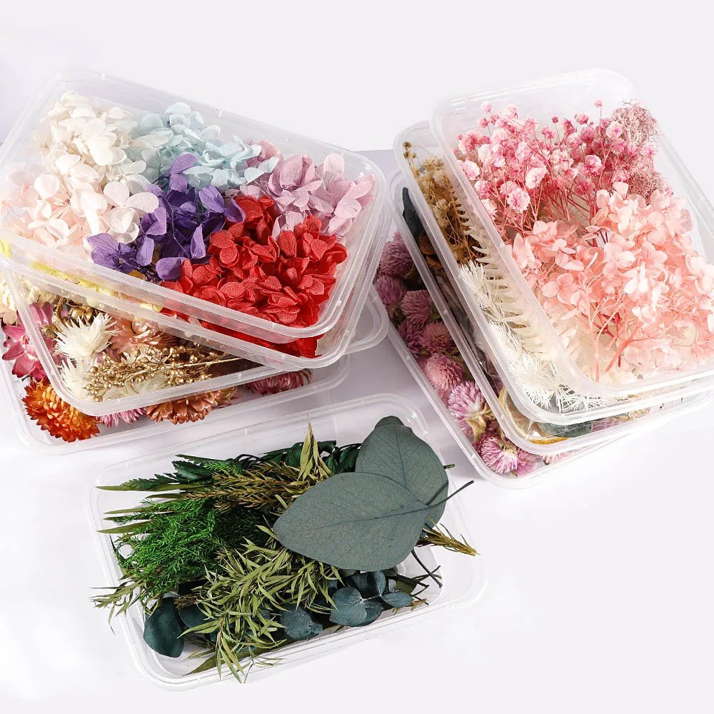 Preserved Flower Mixed Dried Flower Diy Material Diy Candle Making ...