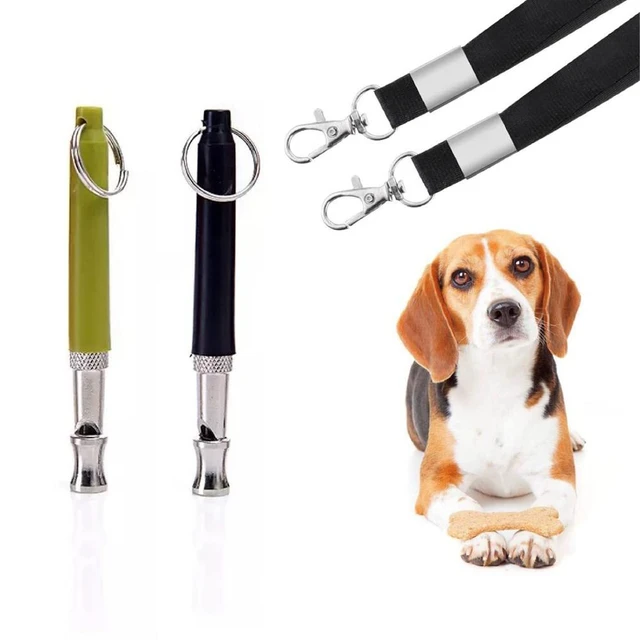 Los Silbatos Para Perros Atraen A Los Perros