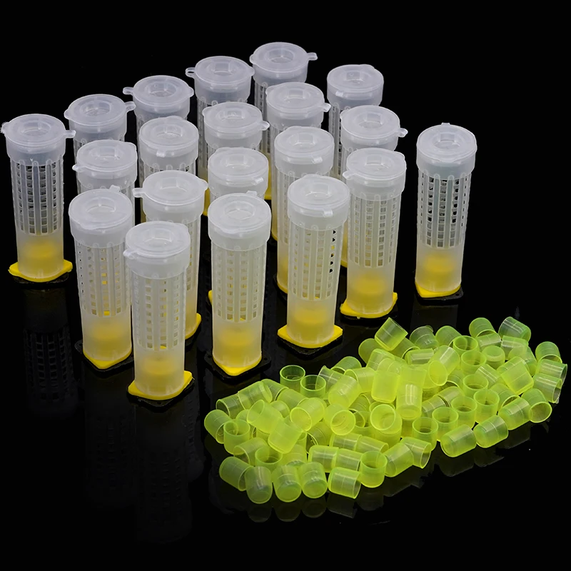 Beekeeping-Queen-Bee-Rearing-System-Plastic-Bee-Beekeeping-Catcher-Box ...