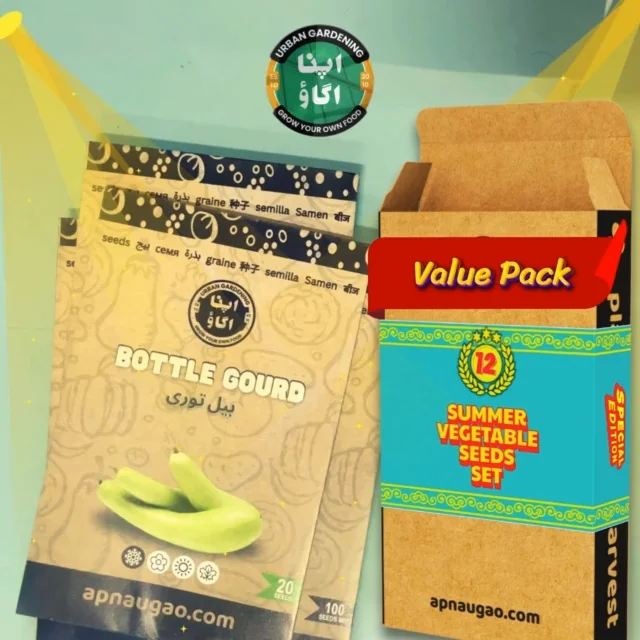 DIY Summer Gardening Kit - Vegetable Seeds with Pots, Coco Peat ...