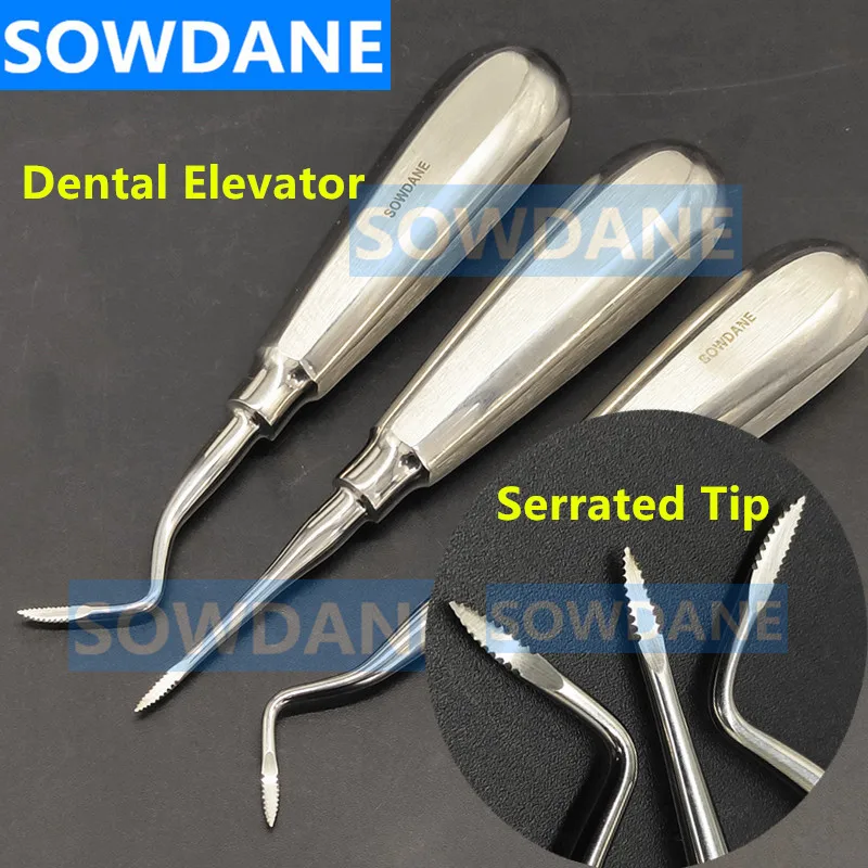 Dental-Extraction-Minimally-Invasive-Elevators-Stainless-Steel-Dental ...