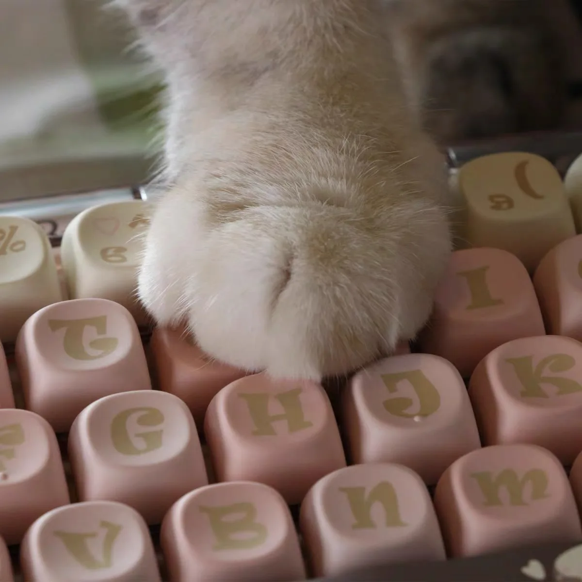 141-Keys-MOA-high-quality-Keycaps-Cute-Key-Cap-Meow-Square-Thermal ...