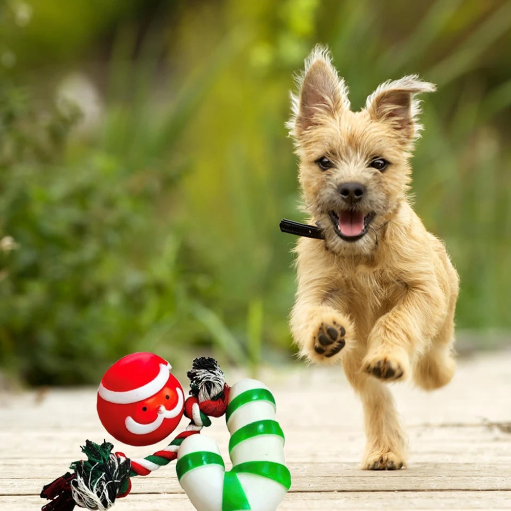 4Pcs-Dog-Toy-Ball-Interactive-Pet-Toy-Moving-Ball-Automatic-Moving-Bouncing-for-Puppy-Birthday ...