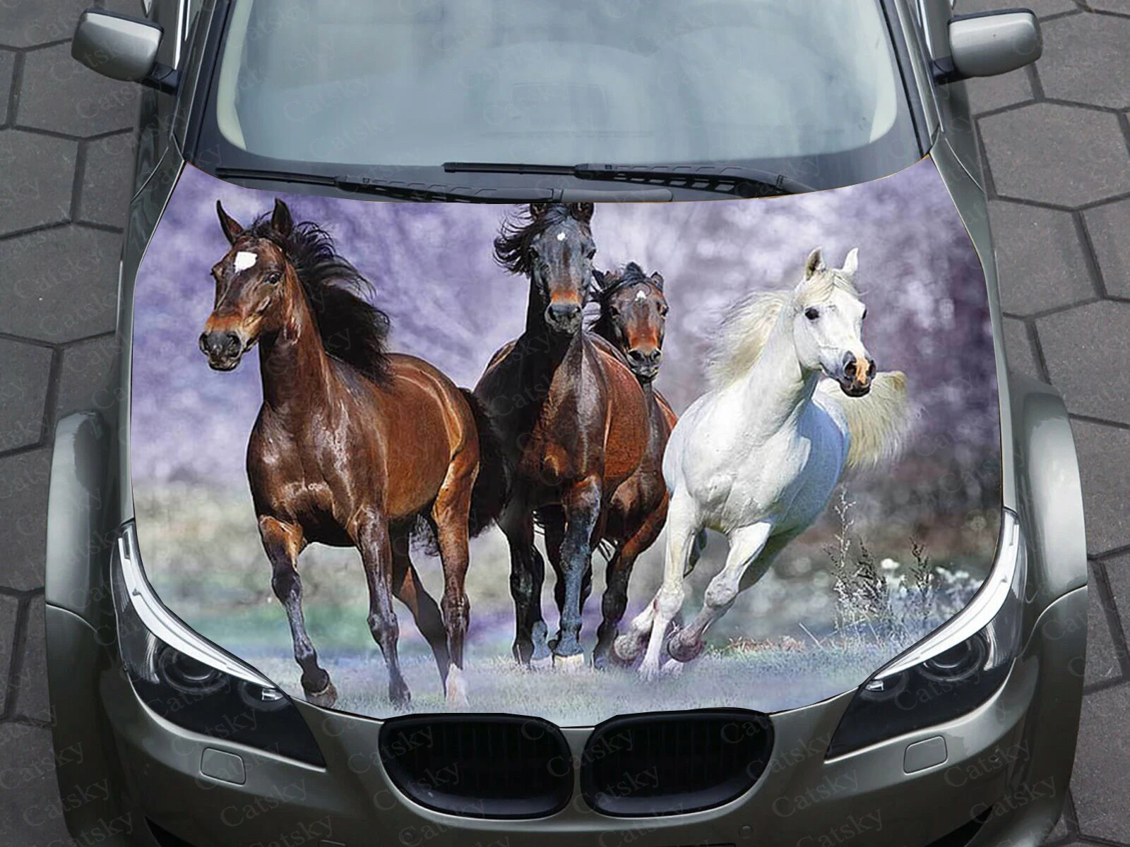 horse-car-stickers-in-graphics-vinyl-decals-hood-patterns-packaging ...