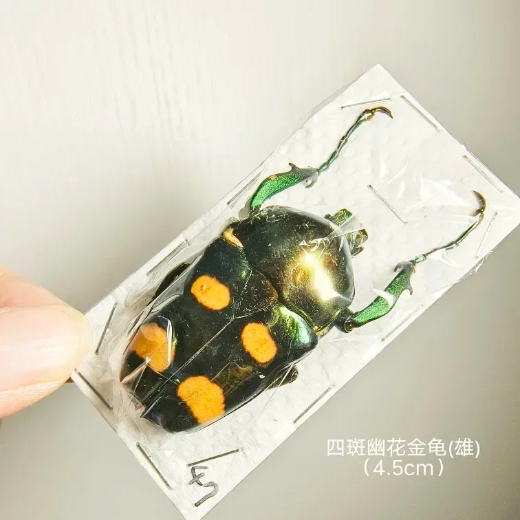 Scb7036a5915845b68a944fd987ce63a8h.jpg