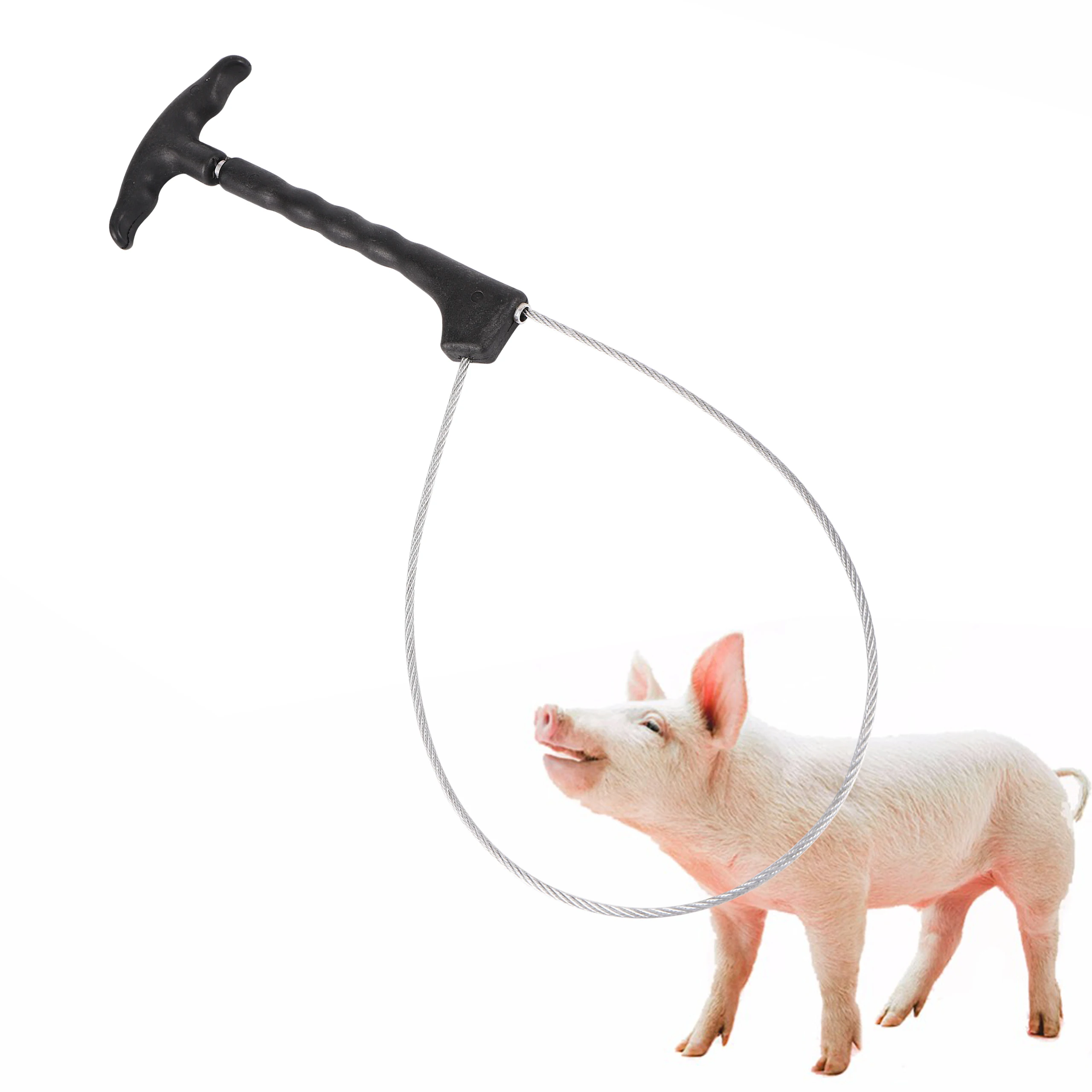 1-Pc-Livestock-Pig-Baoding-Set-Pig-Fixed-Rope-Veterinary-Equipment ...