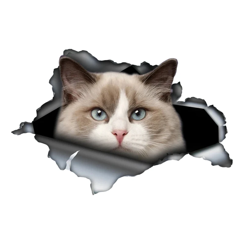 Grumpy Cat Car Stickers