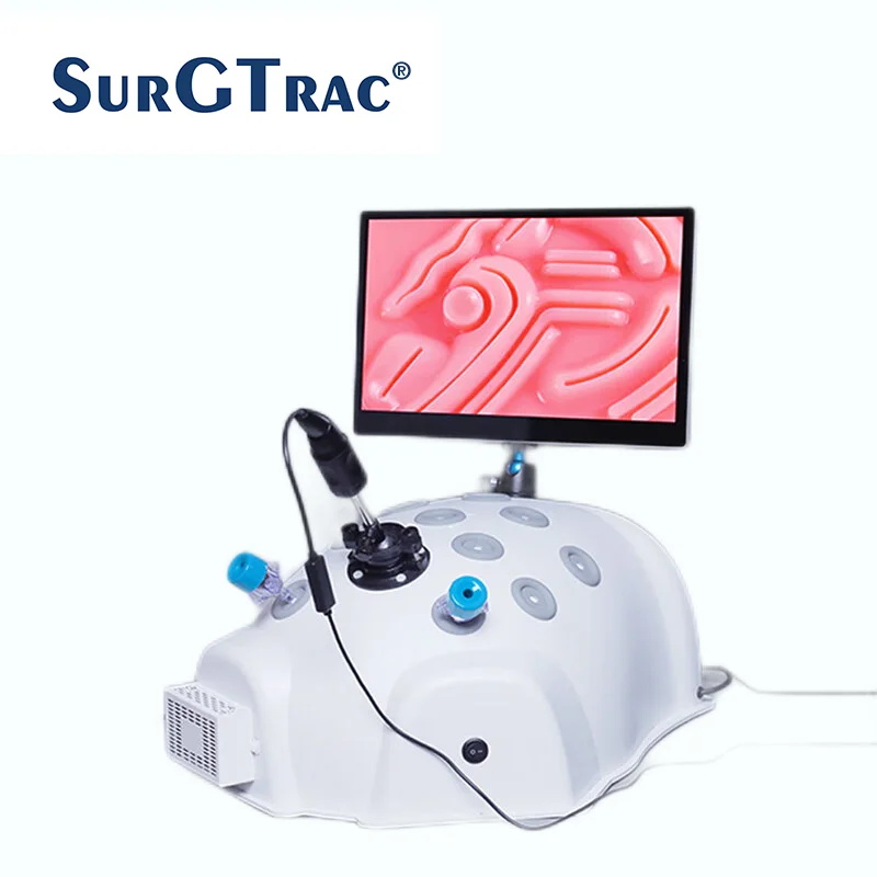 Página principal Productos Comentarios