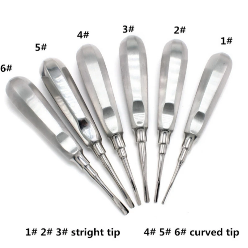 Dental Extraction Elevator Stainless Steel Straight Curved Tips Root ...