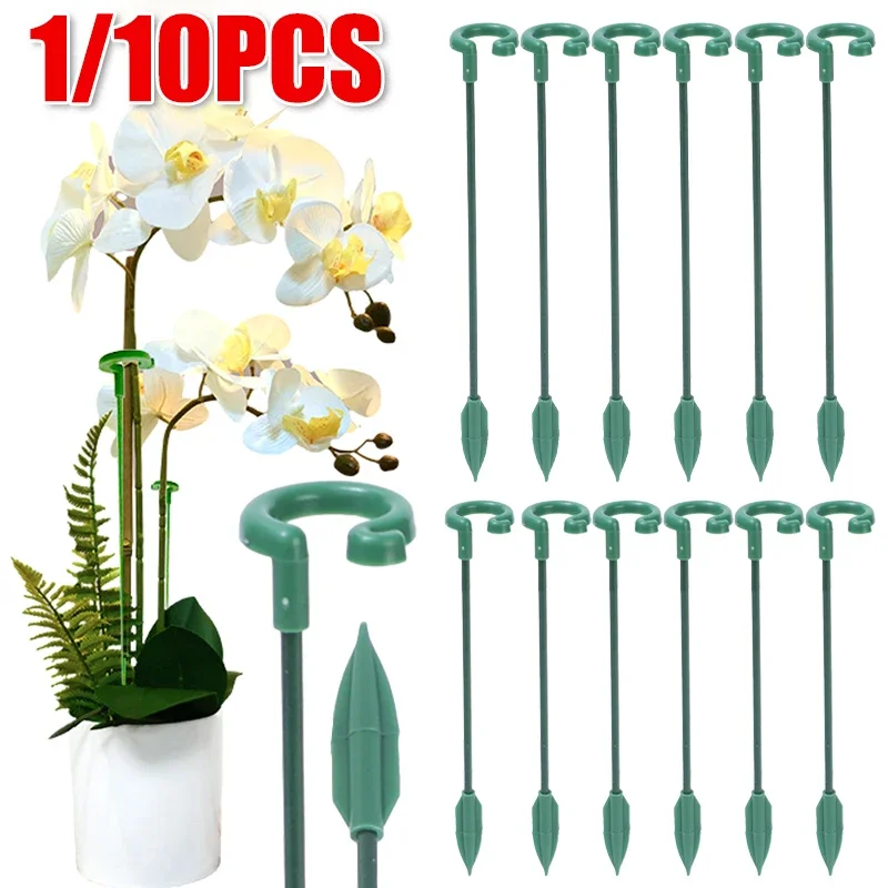 17-58CM-Plastic-Plant-Support-Rods-Potted-Phalaenopsis-Succulents ...