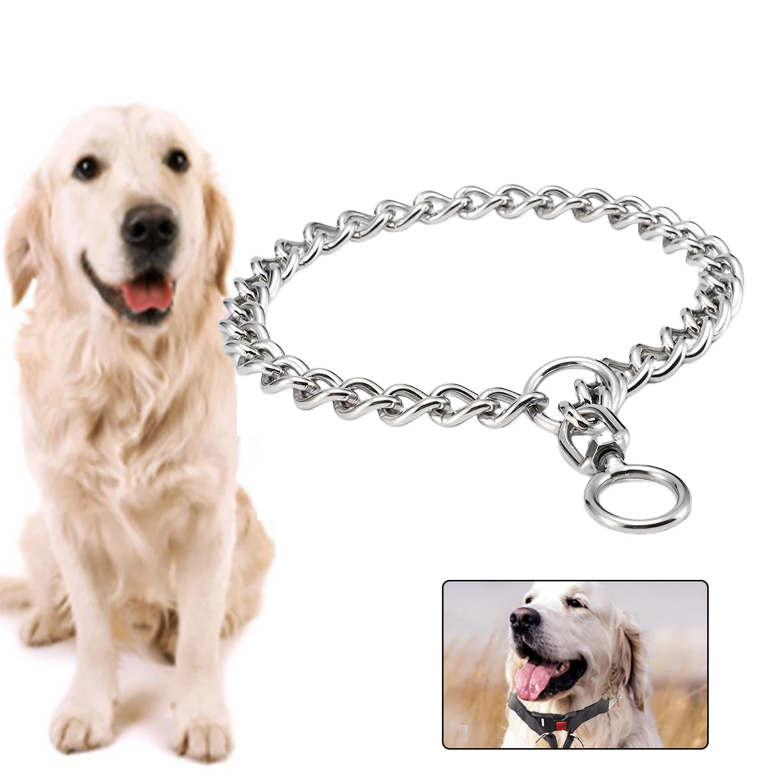 How To Train A Dog To Release