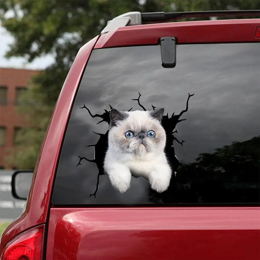 Grumpy Cat Window Decal