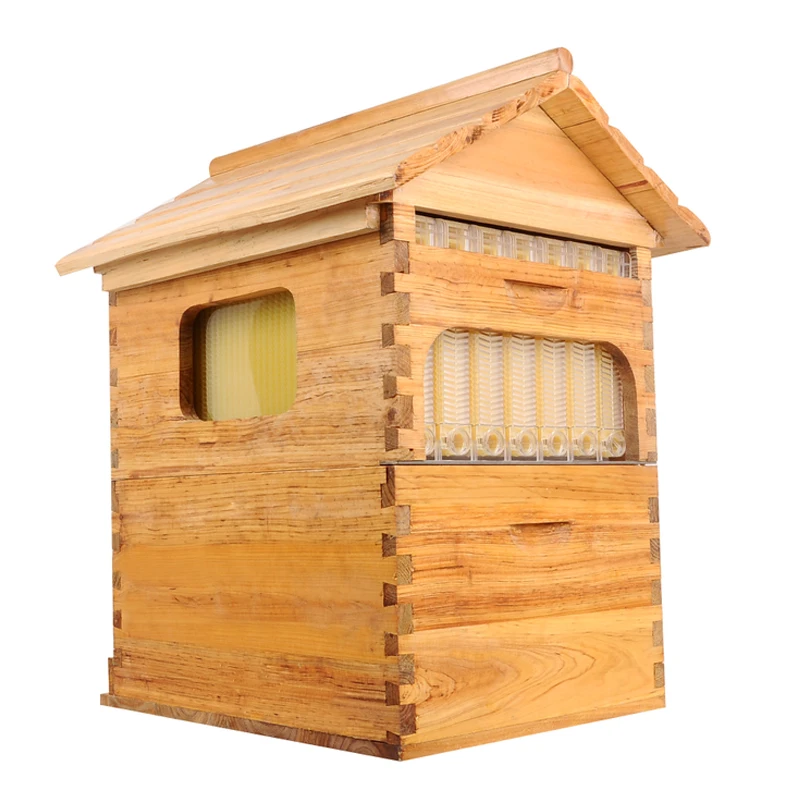 Colmena-autom-tica-con-7-marcos-de-pl-stico-equipo-de-apicultura-salida ...