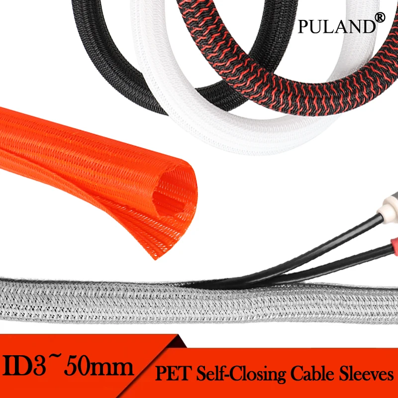 Scbd19ed17c2b433eb9b998ee3661fccan.jpg