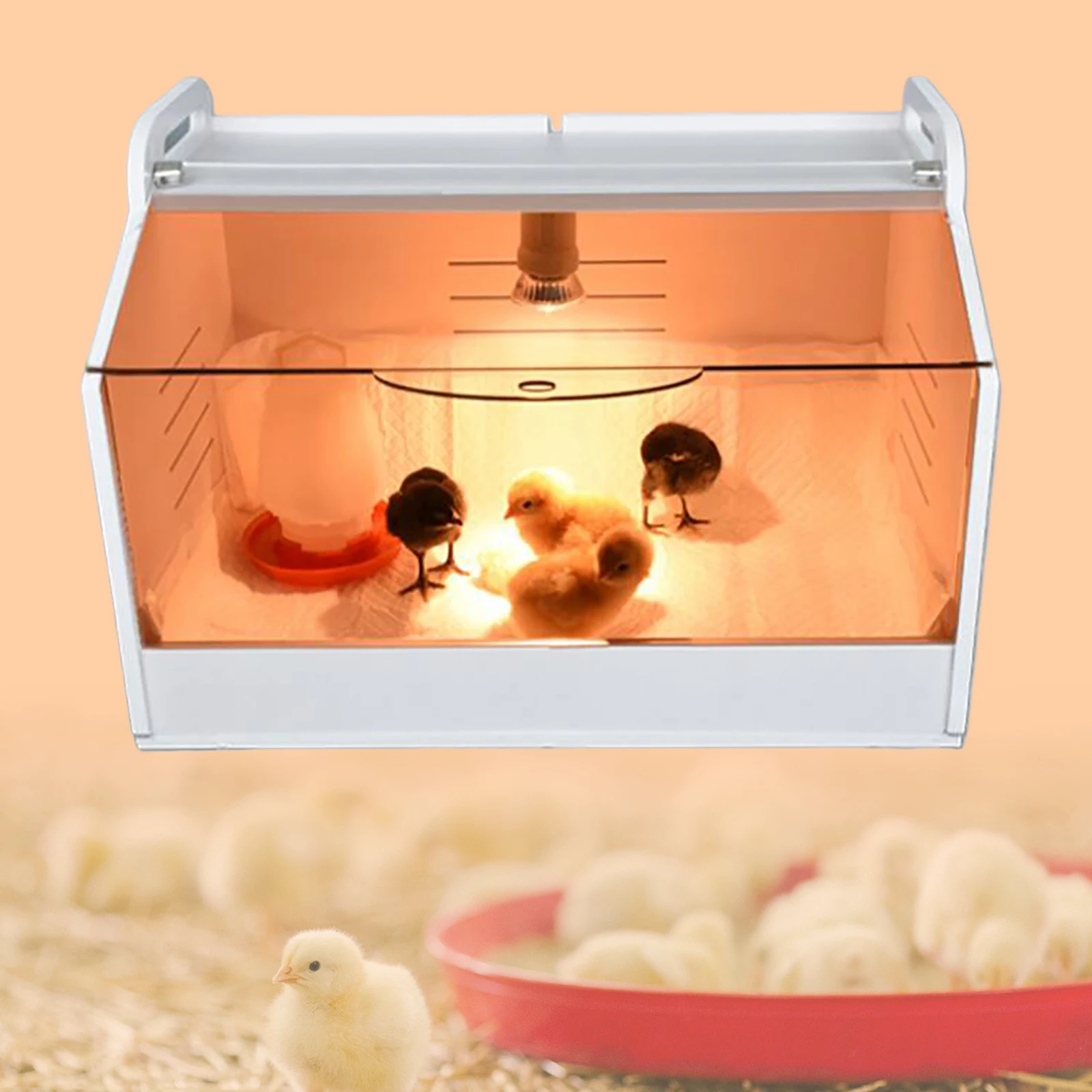 Chicken Incubator Chick Brooding Box Head Lamp Reptiles Poultry ...