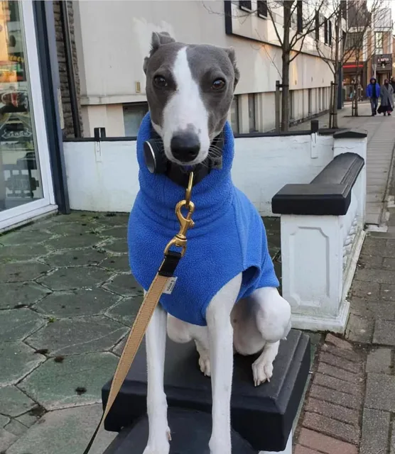 Winter Fleece Whippet Vest Italian Greyhound Clothes Turtleneck Dog ...