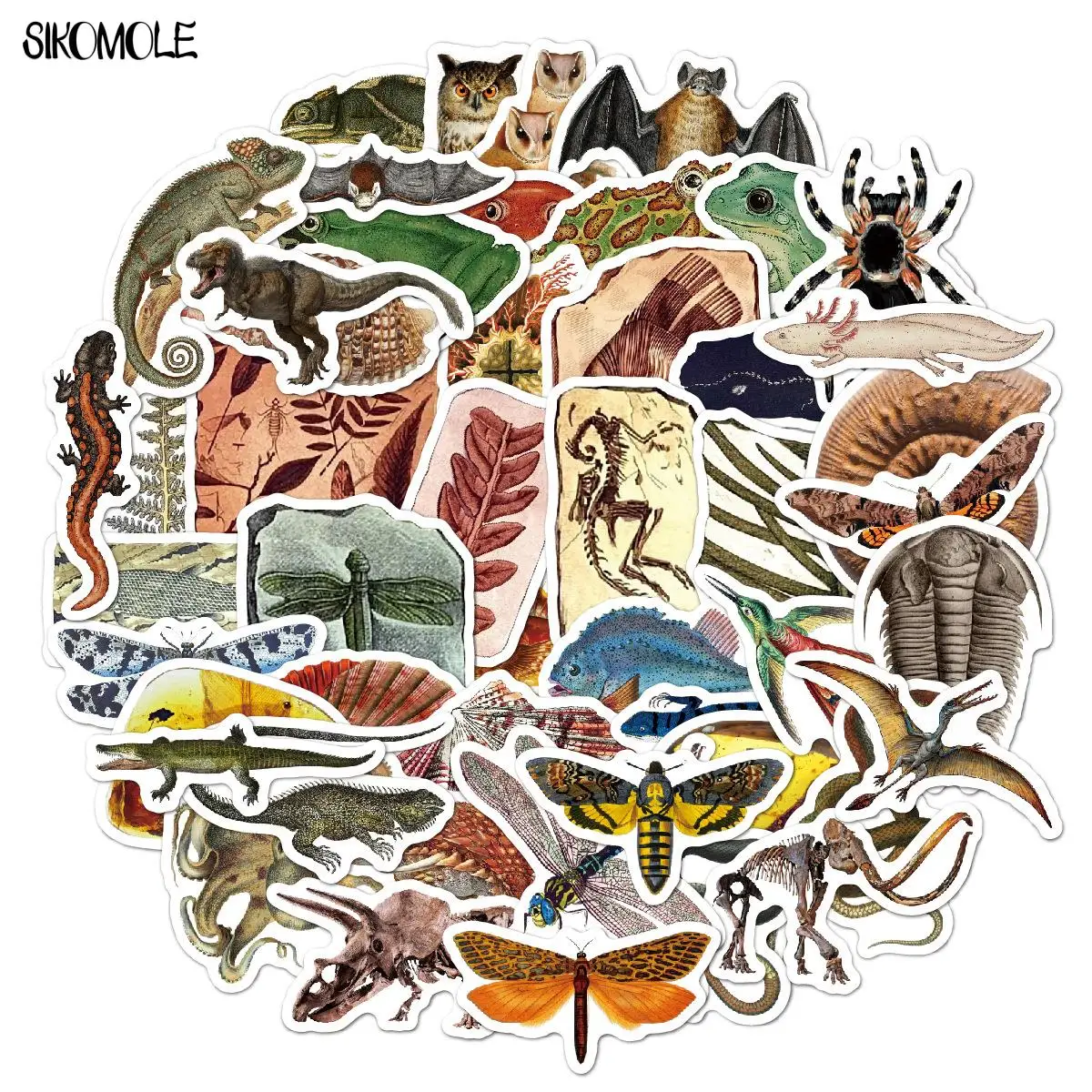 10-30-50Pcs-Retro-Animal-Dinosaur-Fossil-Stickers-Decals-DIY-Toy ...
