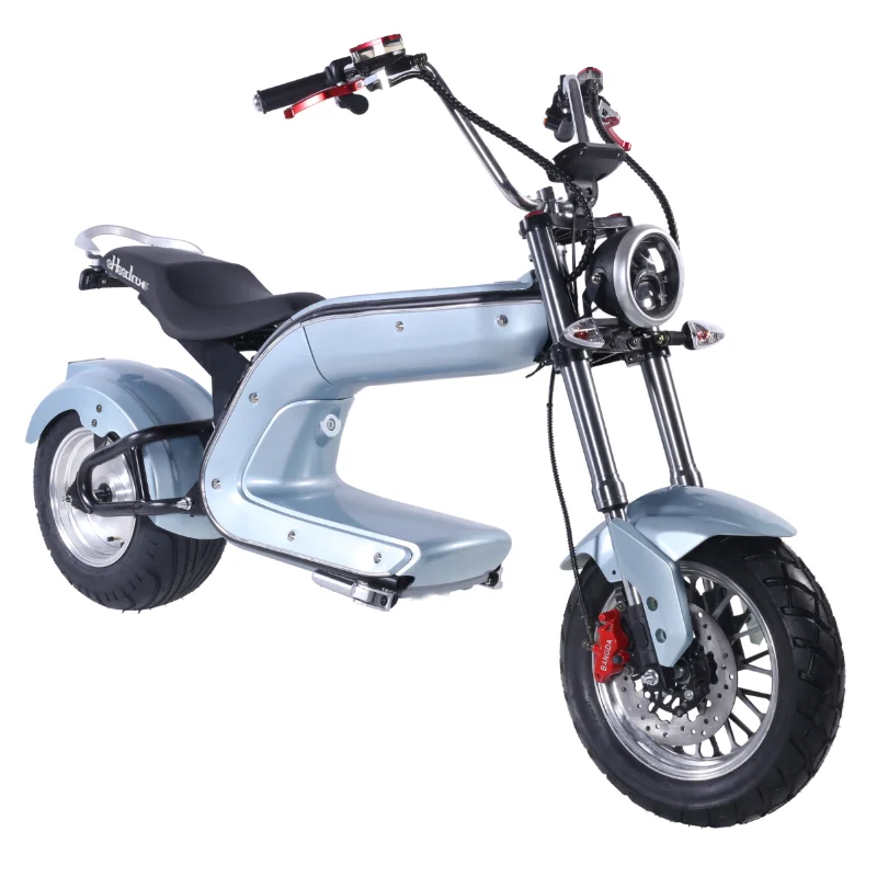 2022-Fastest-2000w-2500w-EHoodax-Moped-Adult-Classic-High-Speed-Long ...