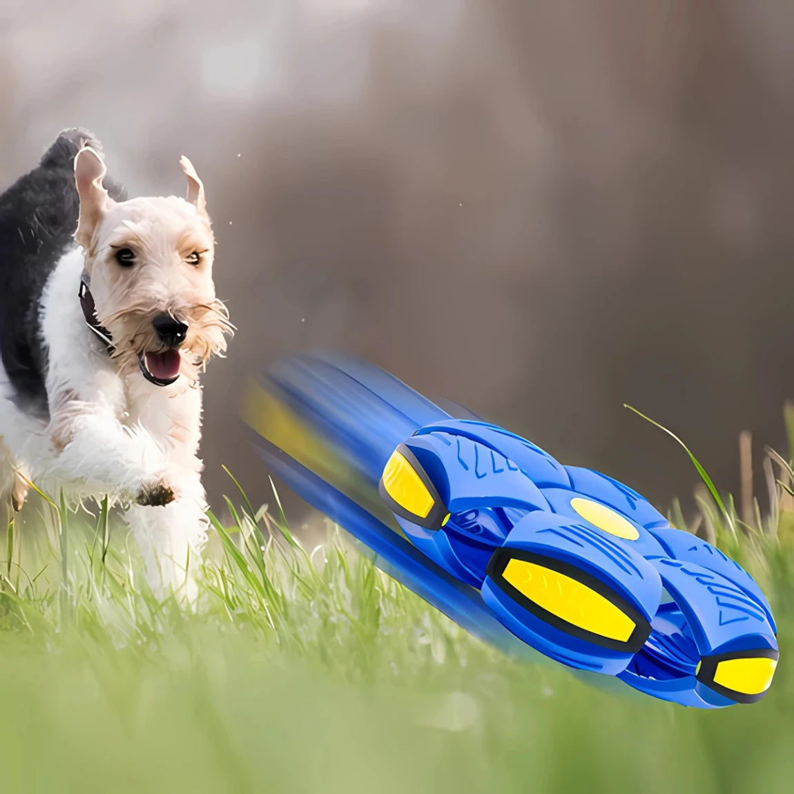 Pet-Flying-Saucer-Ball-Magic-Outdoor-Throw-Disc-Ball-for-Kids-and-Dog ...