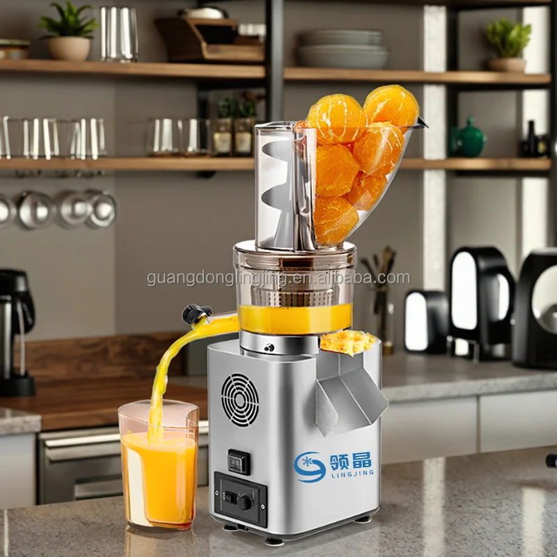 750W Commercial Desktop Juicer for Soft Juicy Fruits Carrots Slow ...