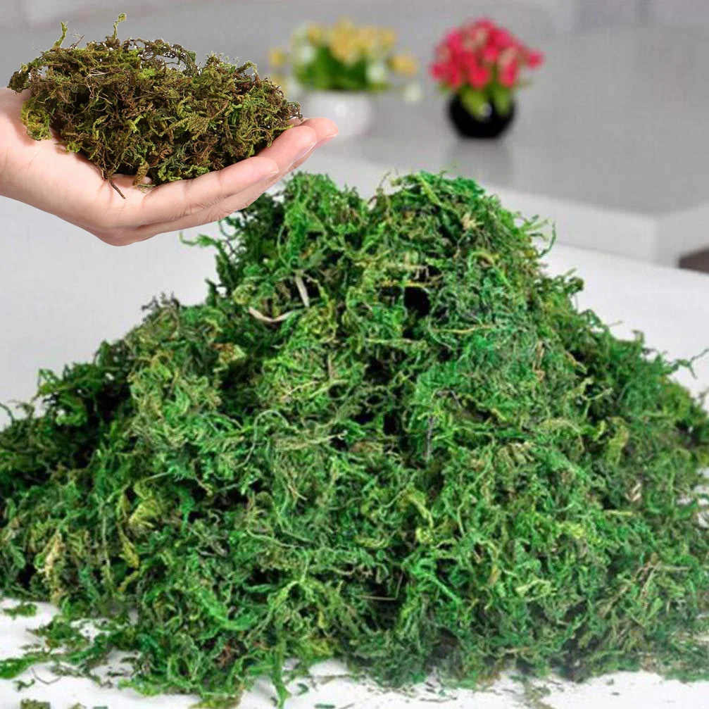 50g-Natural-Dry-Moss-Materials-Military-Sand-Table-Scene-Model ...