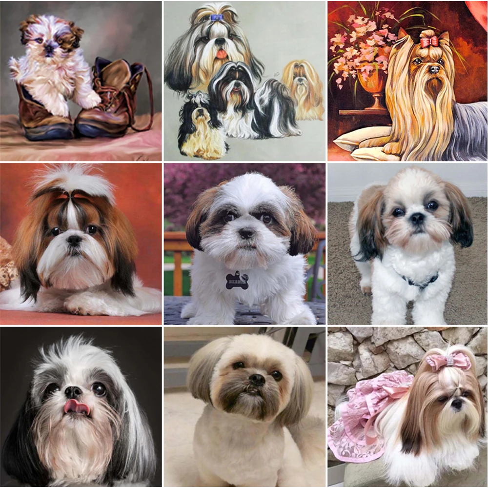 Diy-Diamond-Painting-By-Number-Shih-Tzu-Dog-Picture-Rhinestone ...