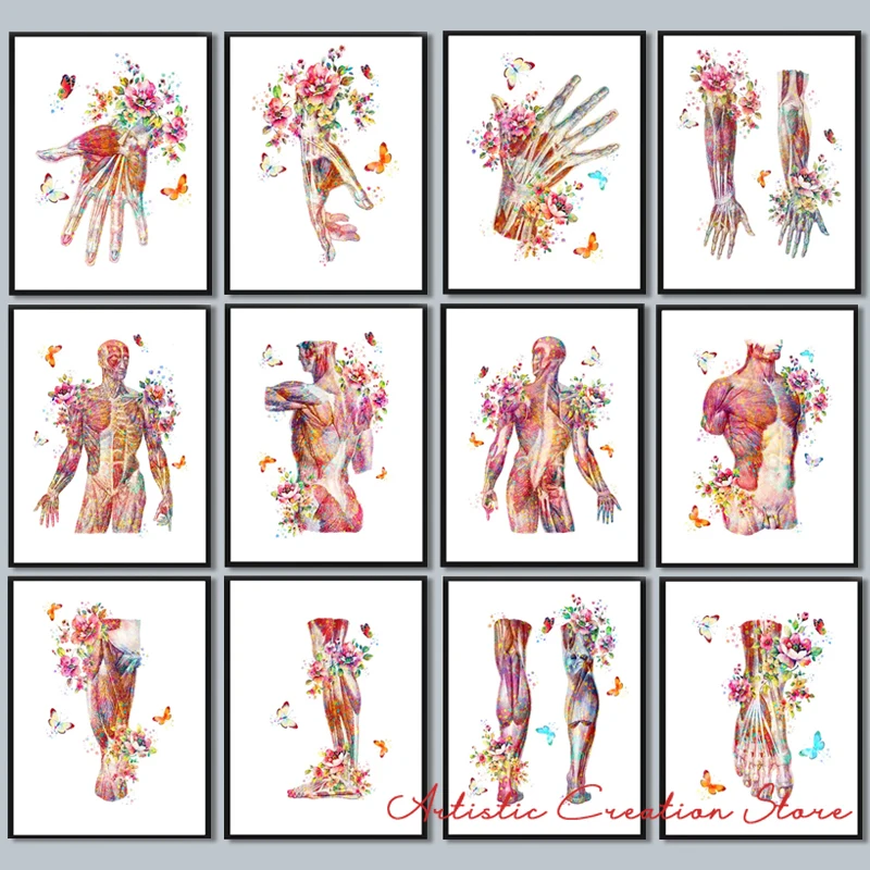 Watercolor-Anatomy-Posters-Human-Muscular-System-Anatomy-Art-Canvas ...