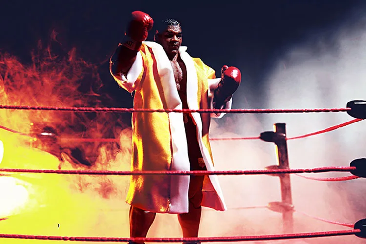 Professional Boxer Robe