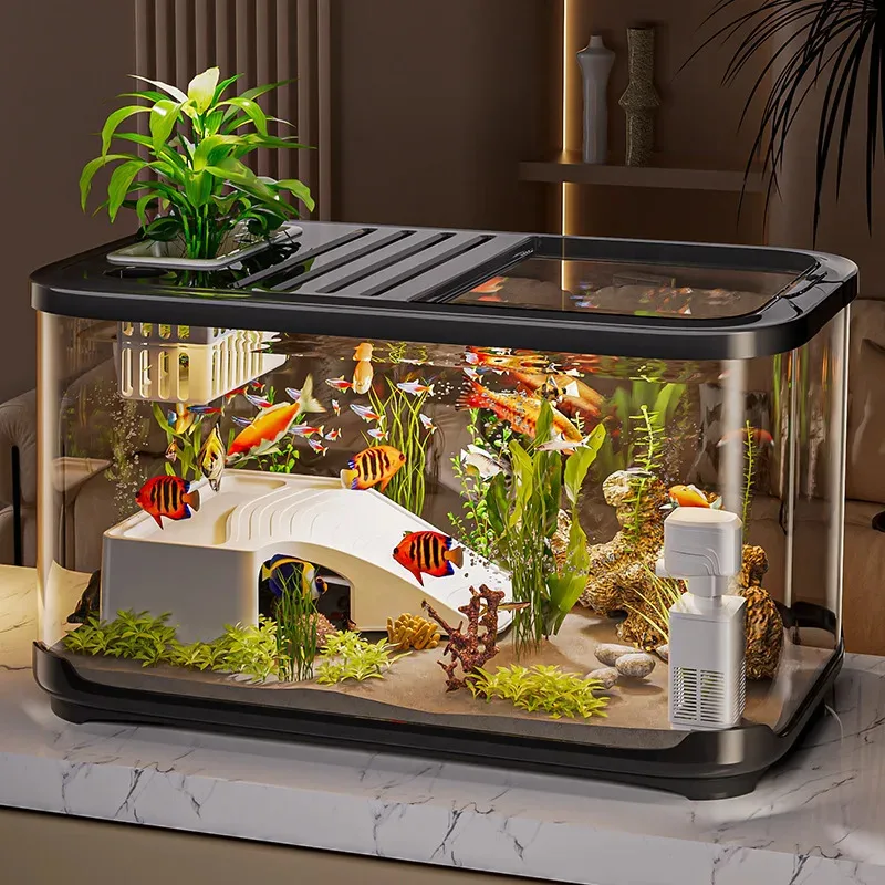 Crystal Clear Large Aquarium - Panoramic Desktop Ecosystem Tank for ...