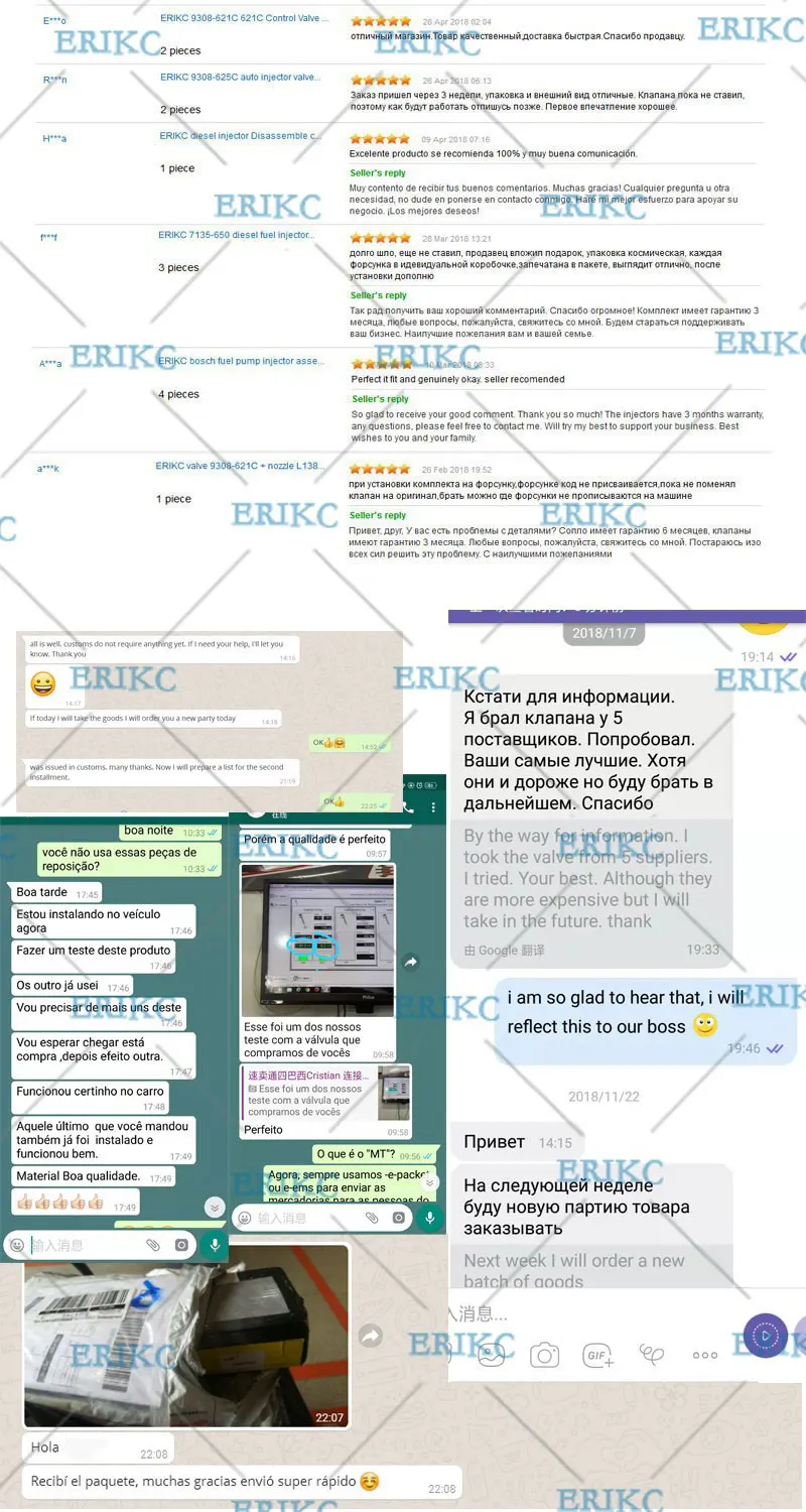 ERIKC F00VP01004 E 1023501 Форсунка, медная шайба, теплозащитный экран ...