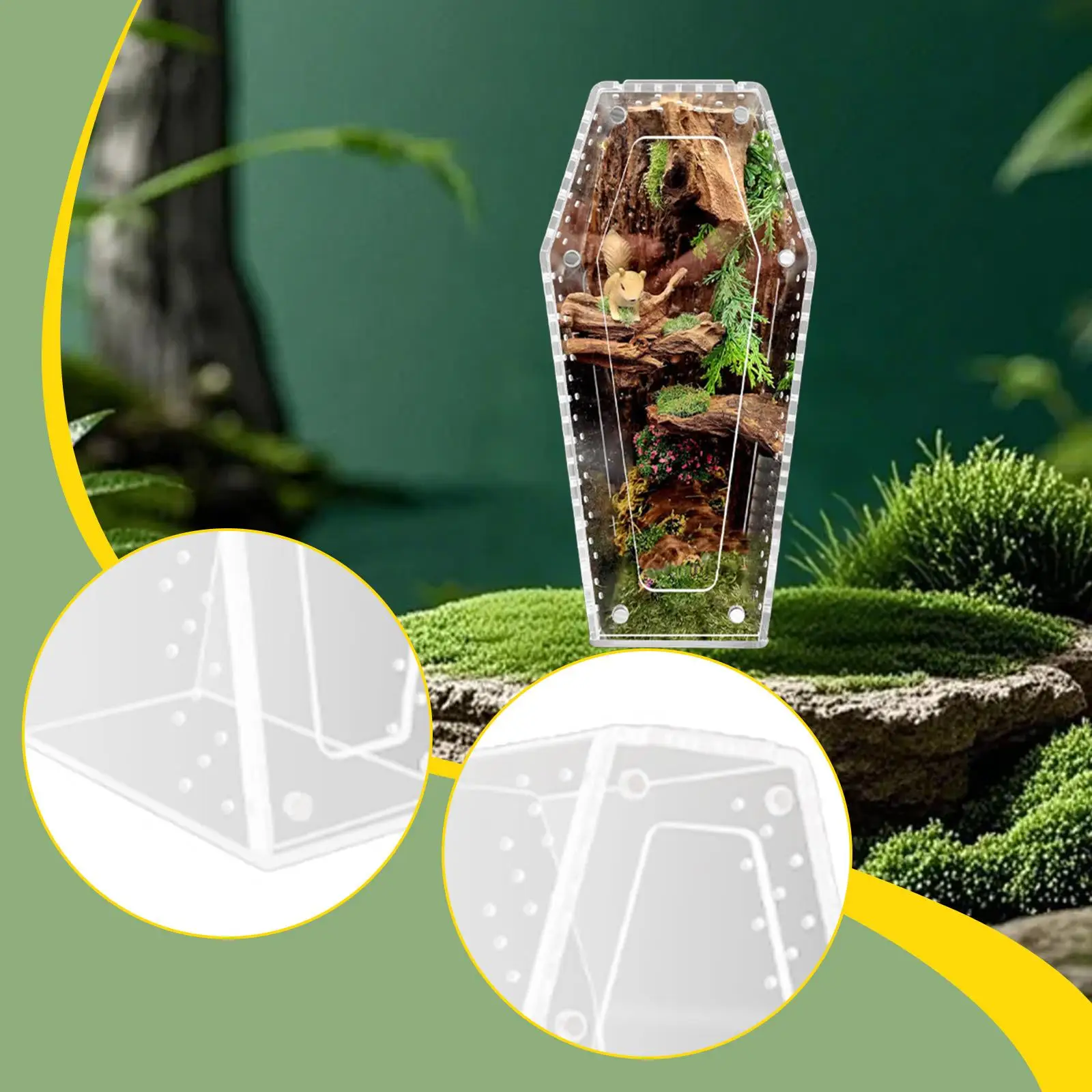 Everything You Need to Know About Small Terrarium Animals