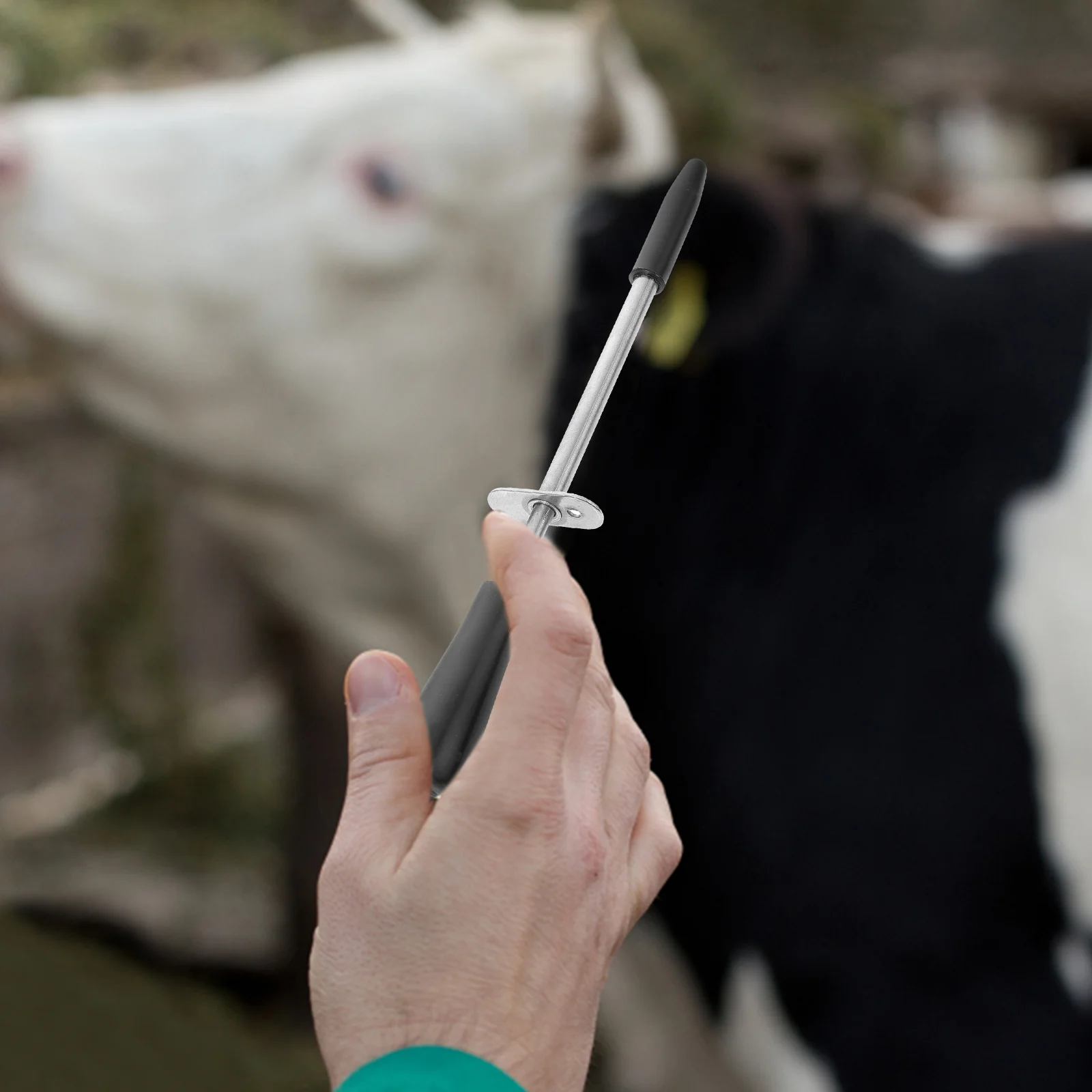 Cattle-Appetite-Deflation-Needle-Multi-purpose-Cow-Equine-Trocar-Cow ...