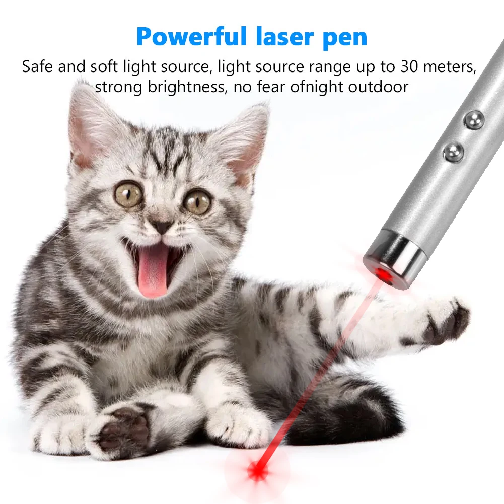 Are Red Laser Pointers Bad For Dogs