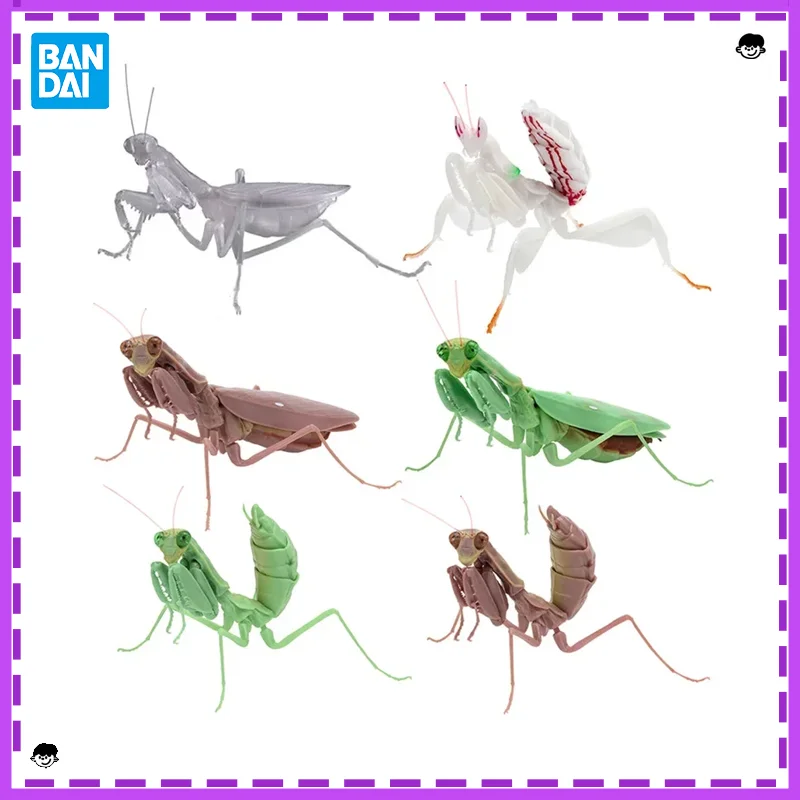 BANDAI-Original-Gashapon-Insect-Simulation-Action-Figure-Mode-Mantis ...