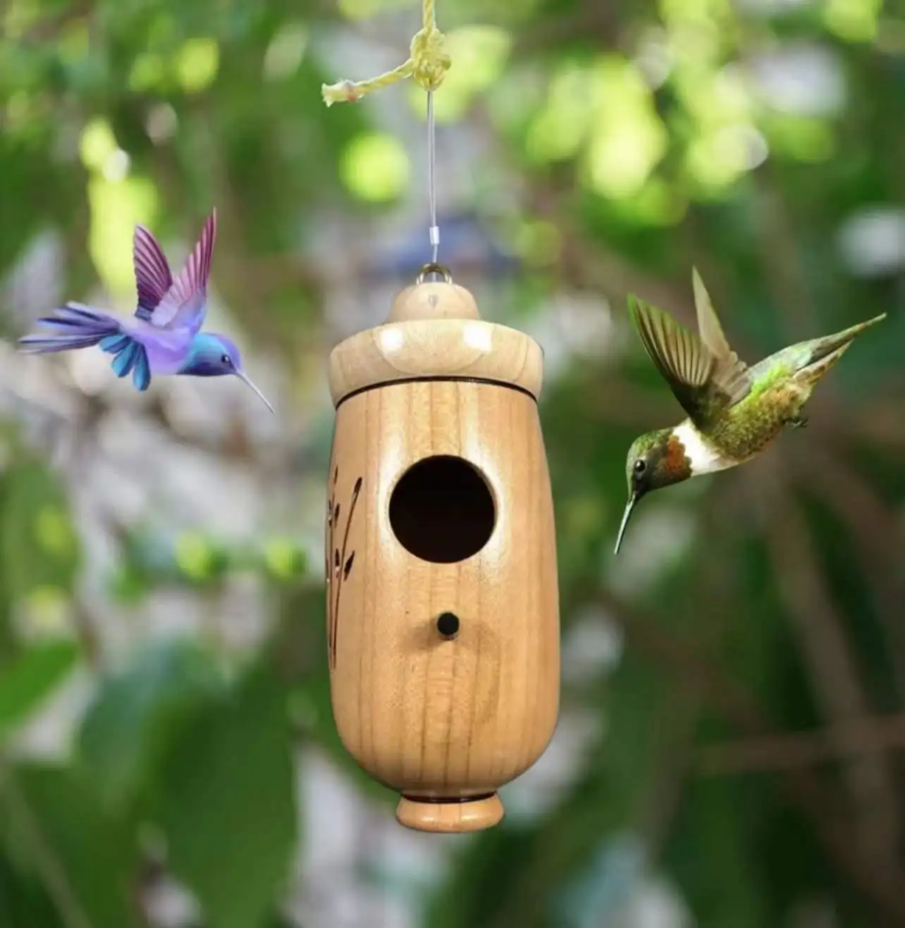 Hummingbird Nest Box