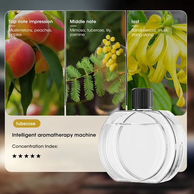 Nocclili Direct Store