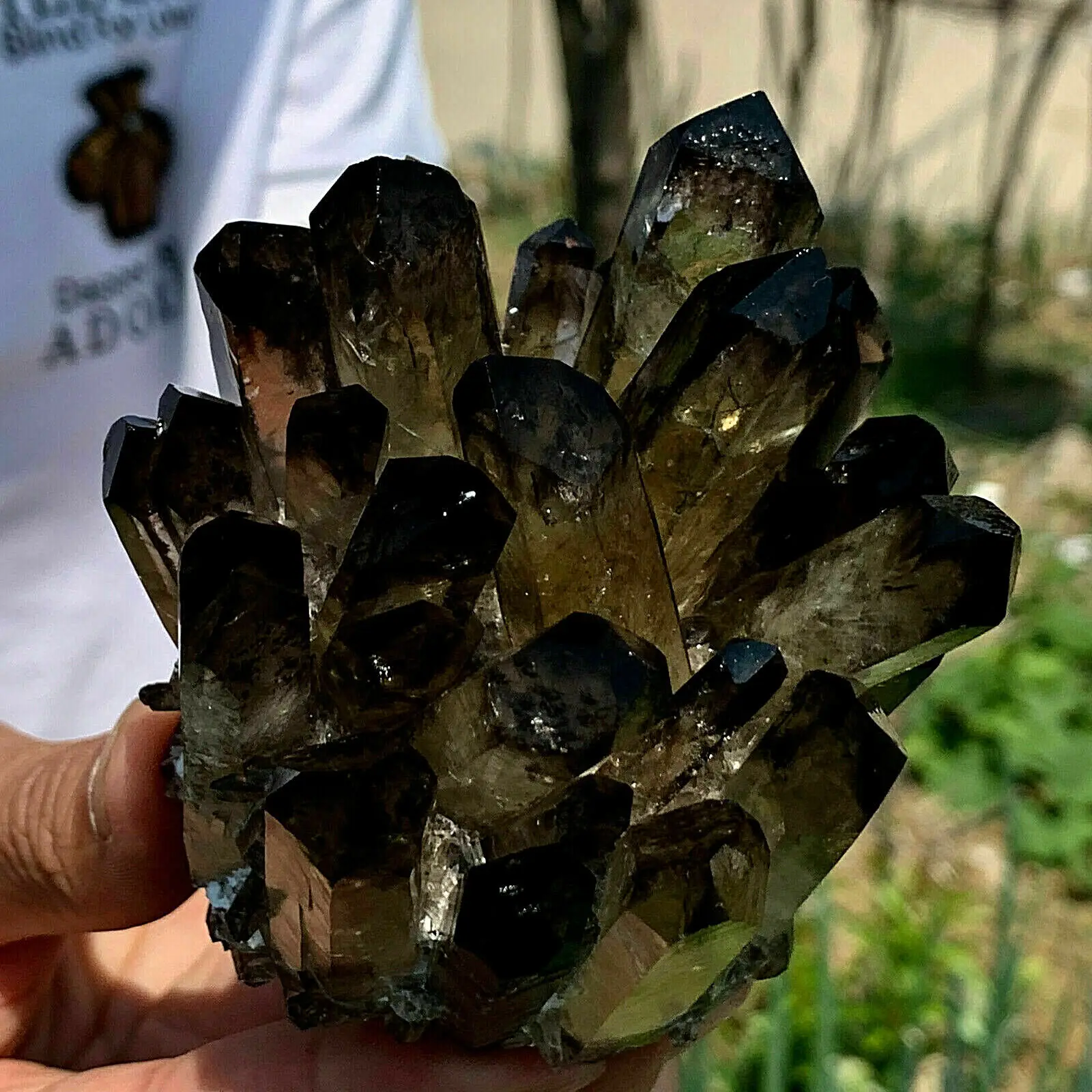 New-Find-black-Phantom-Quartz-Crystal-Cluster-Mineral-Specimen-Healing.jpg