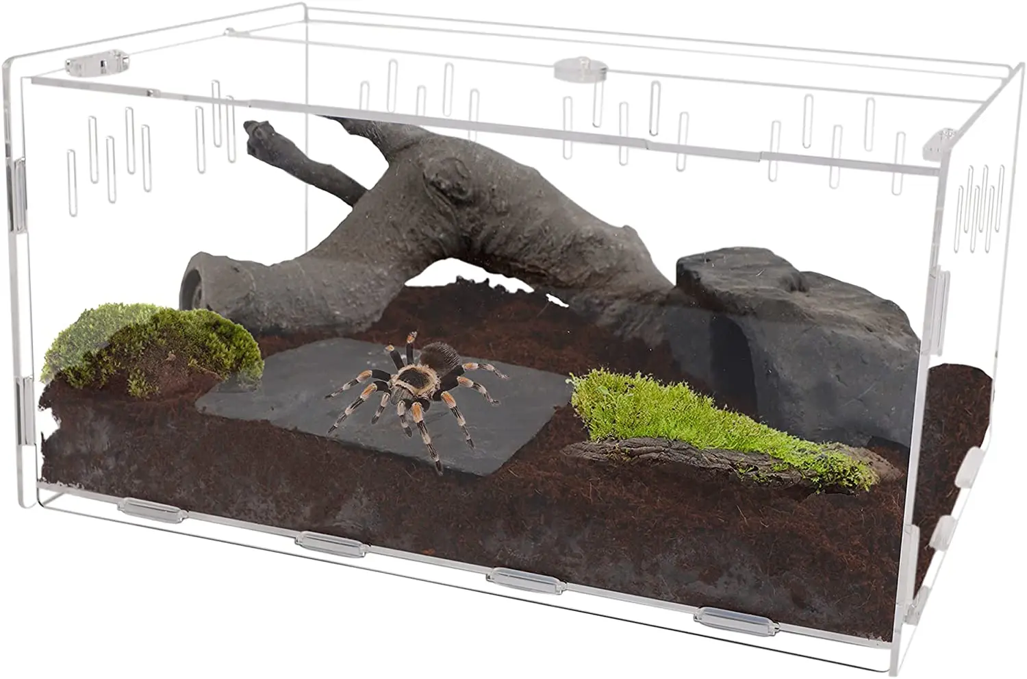 Tarantula Habitat Kit