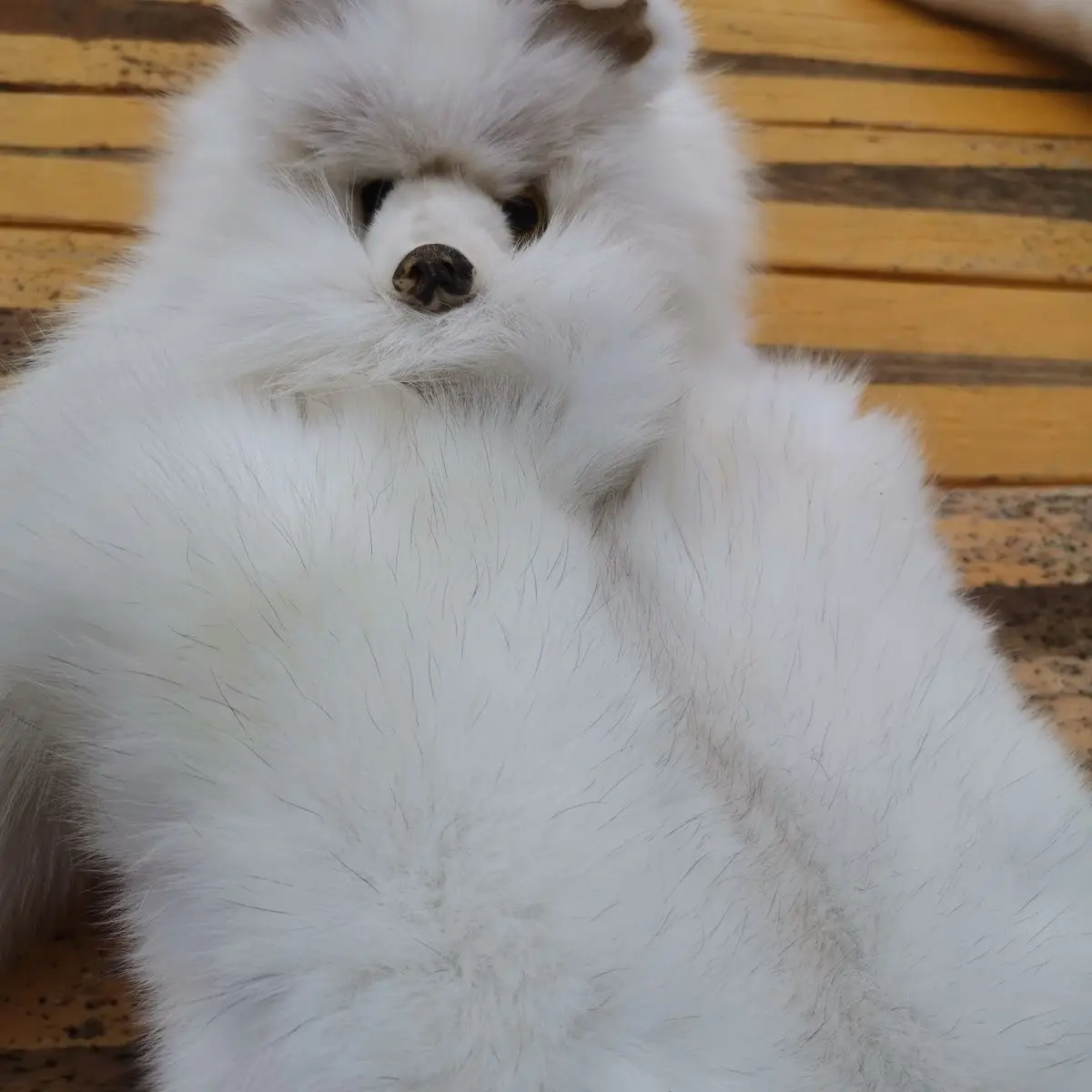 Fox scarf whole real fur collar whole fox skin scarf shawl for men and ...