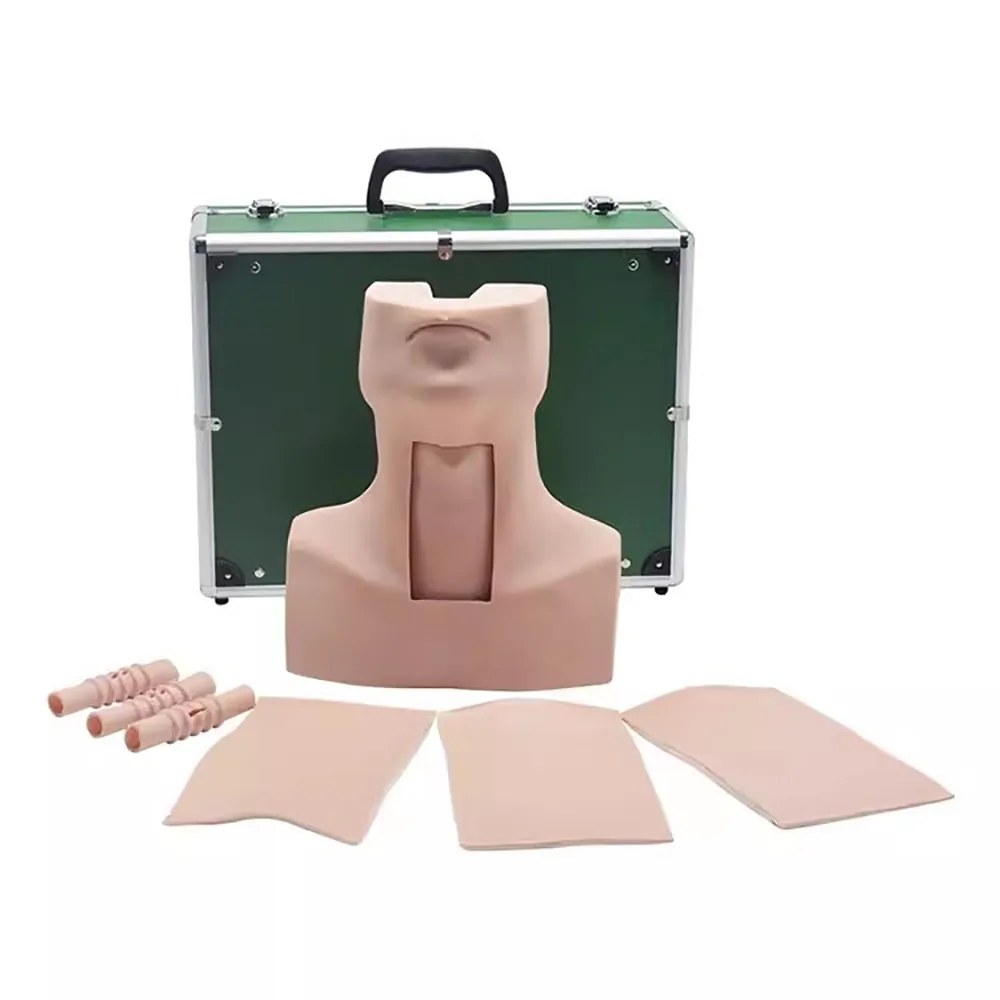 Thyrocricocentesis-Tracheostomy-Simulator-Cricoid-Puncture-And-Tracheal ...