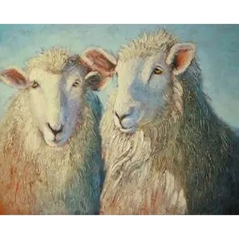 Two Sheep Drawing